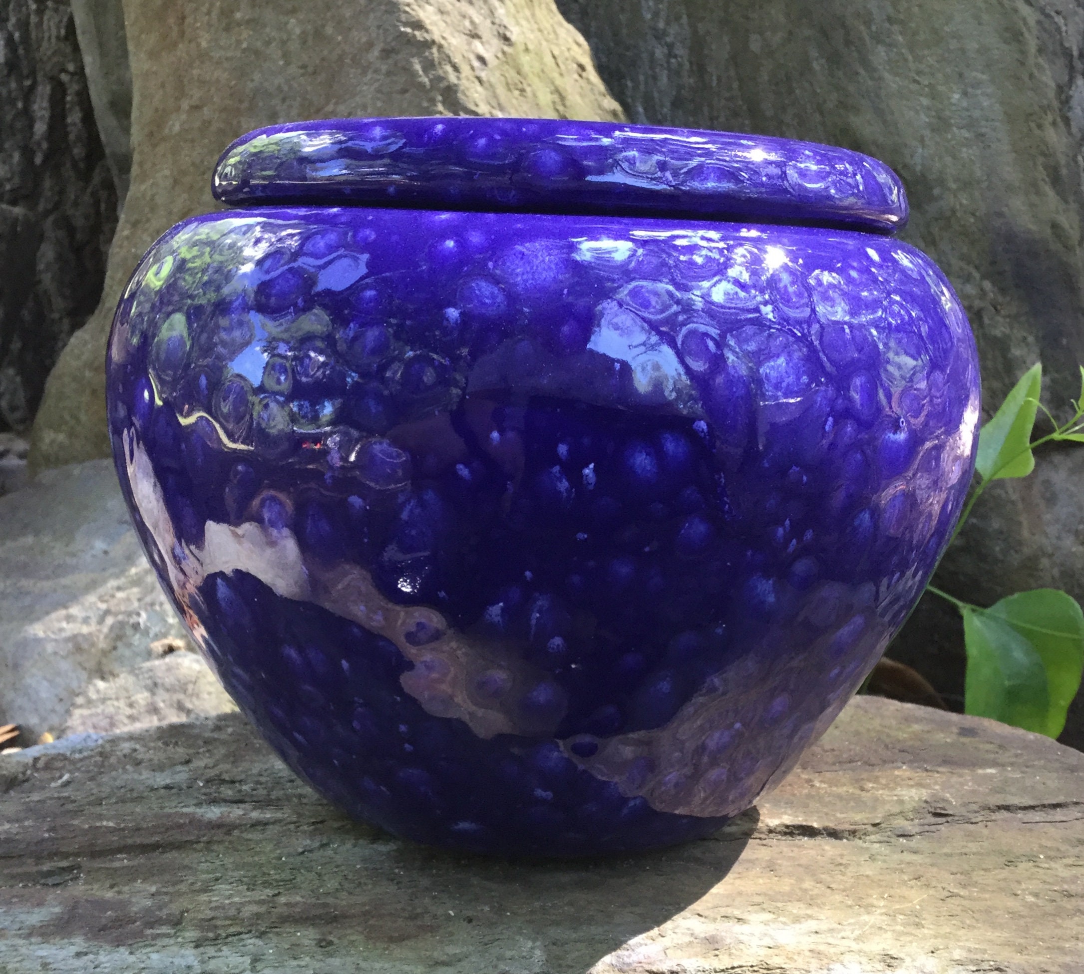 African Violet Pot Large Round Tapered Cobalt Blue Light - Etsy