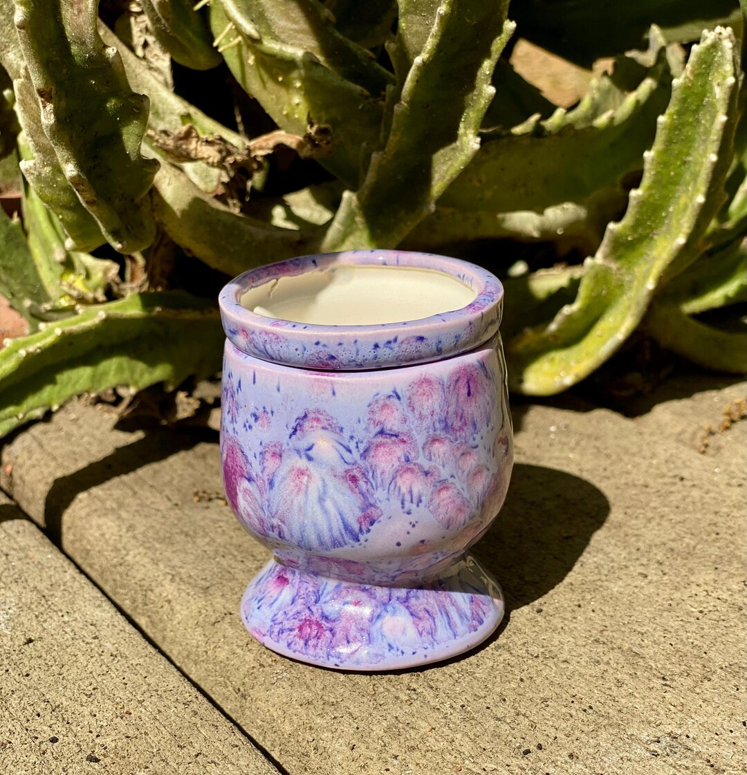 Mini African Violet Planter, Violet Pot, Propagation, Purple, Lilac ...