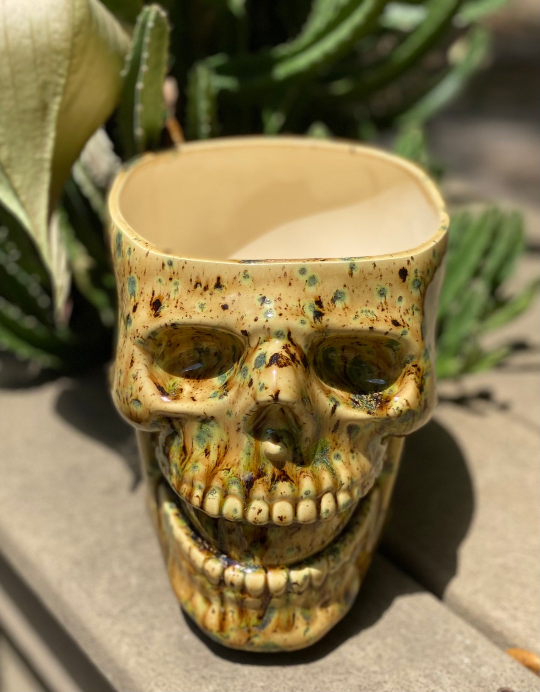 Skull Planter, Head Planter, Succulent Planter, Head Planter, Ceramic ...