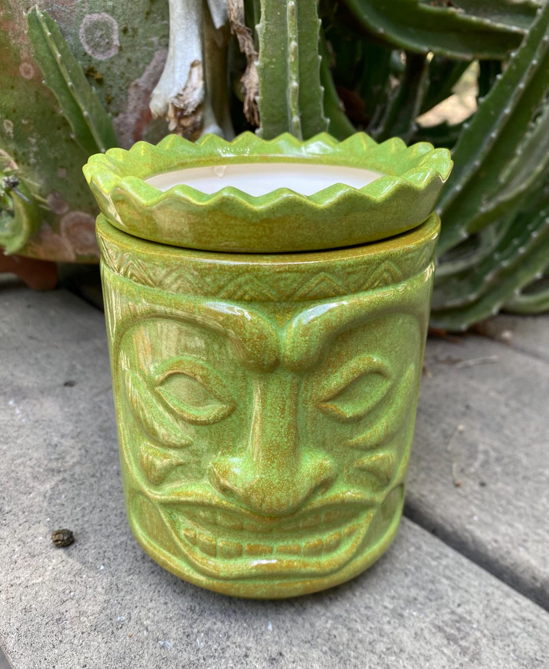 African Violet Planter, Tiki, Violet Pot, Regular Size, Green, Beige ...