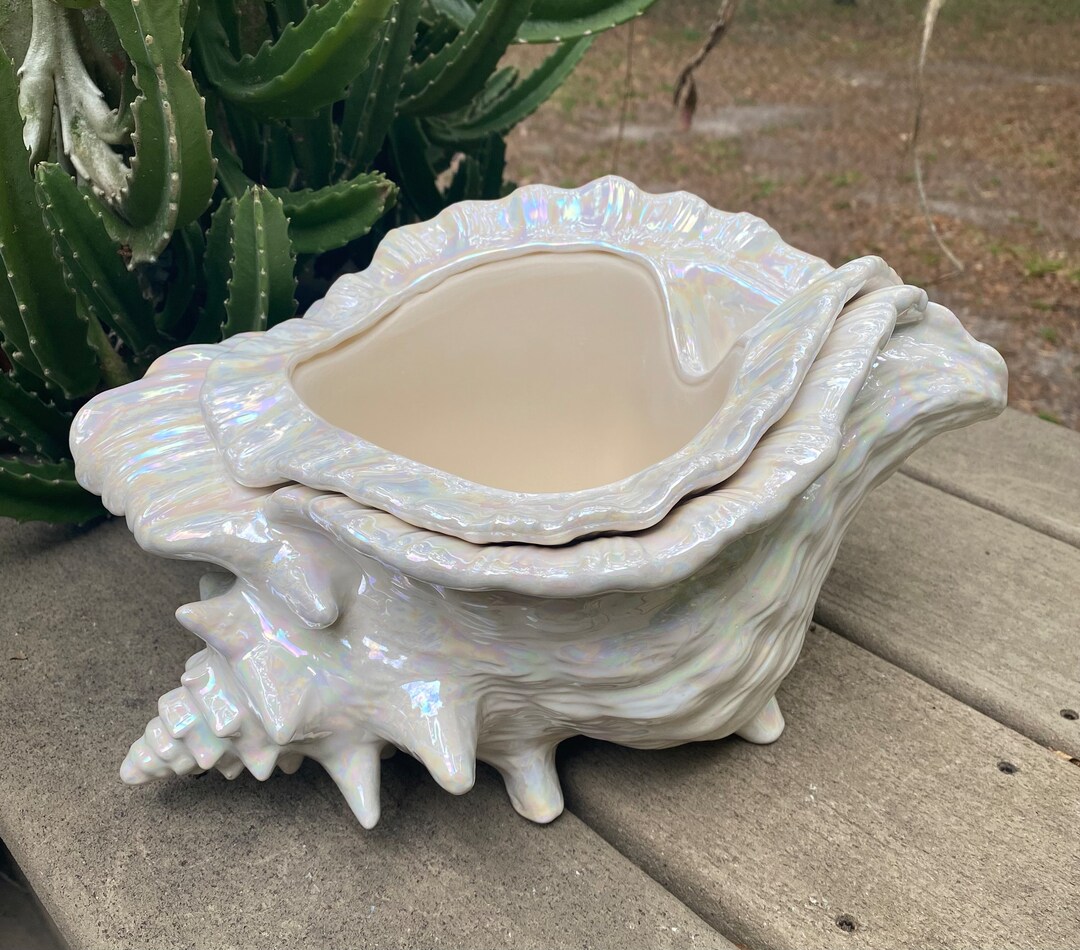 Violet Pot, Extra Large, Planter, Self Watering, Queen Conch Shell ...