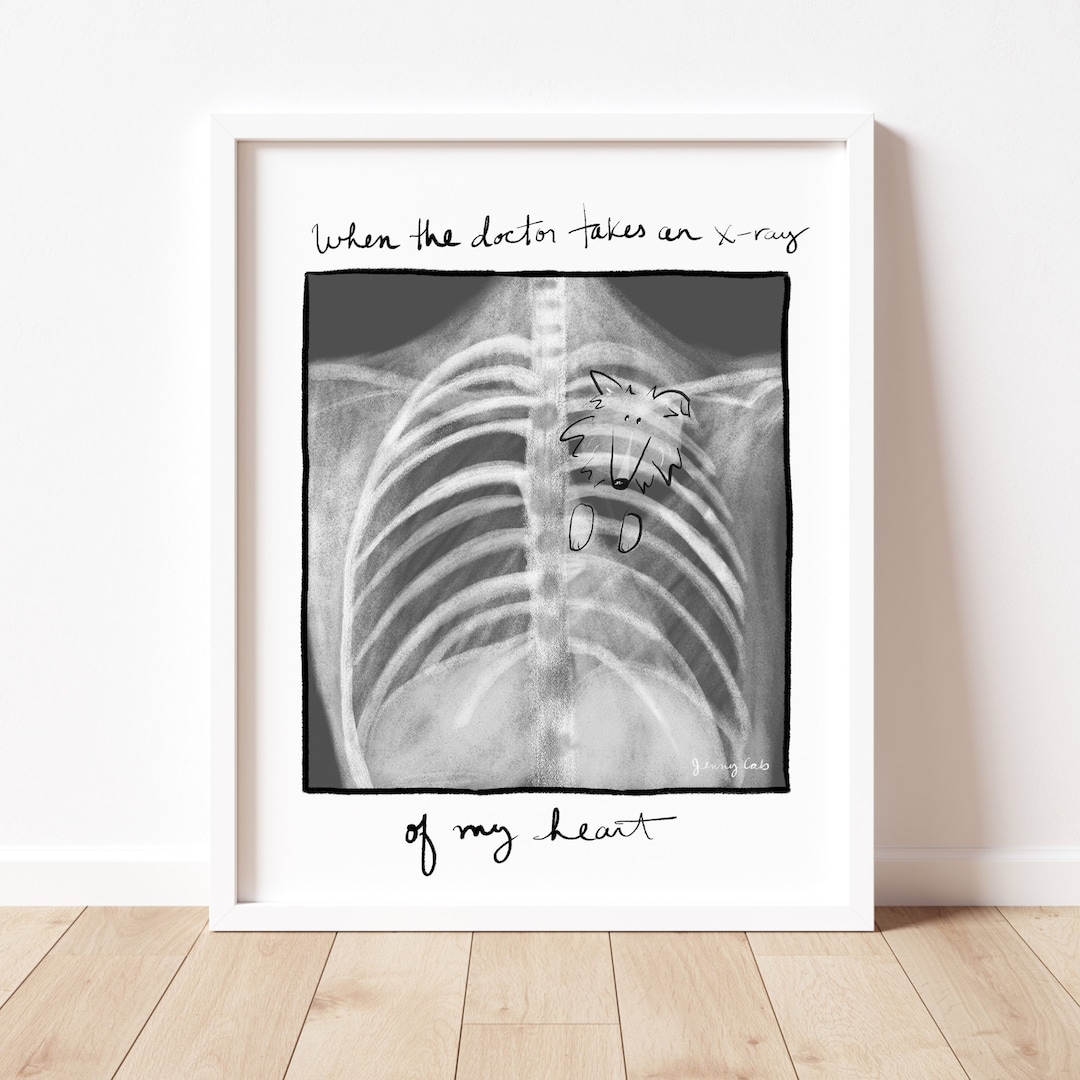 X-ray of My Heart - Dog Art Poster Print for Rough Collie Lovers - Etsy