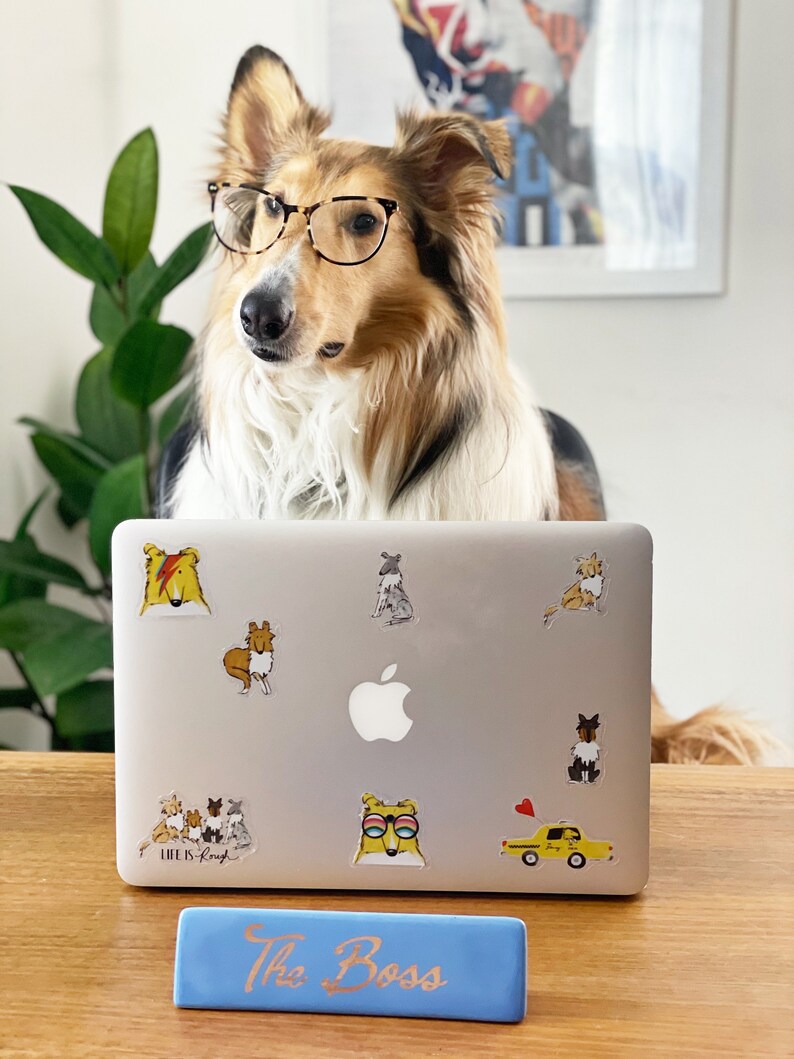 Life is Rough Transparent or White Pet Sticker Rough Collie - Etsy