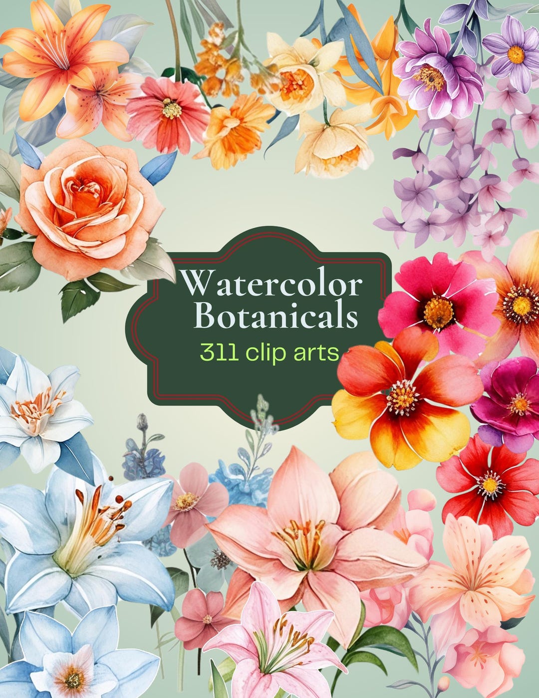 WATERCOLOR BOTANICAL Clipart - 311 High-resolution Pngs (300 PPI), Junk ...