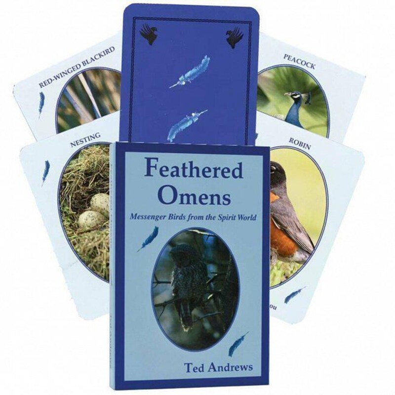 Bird Oracle Cards - Etsy