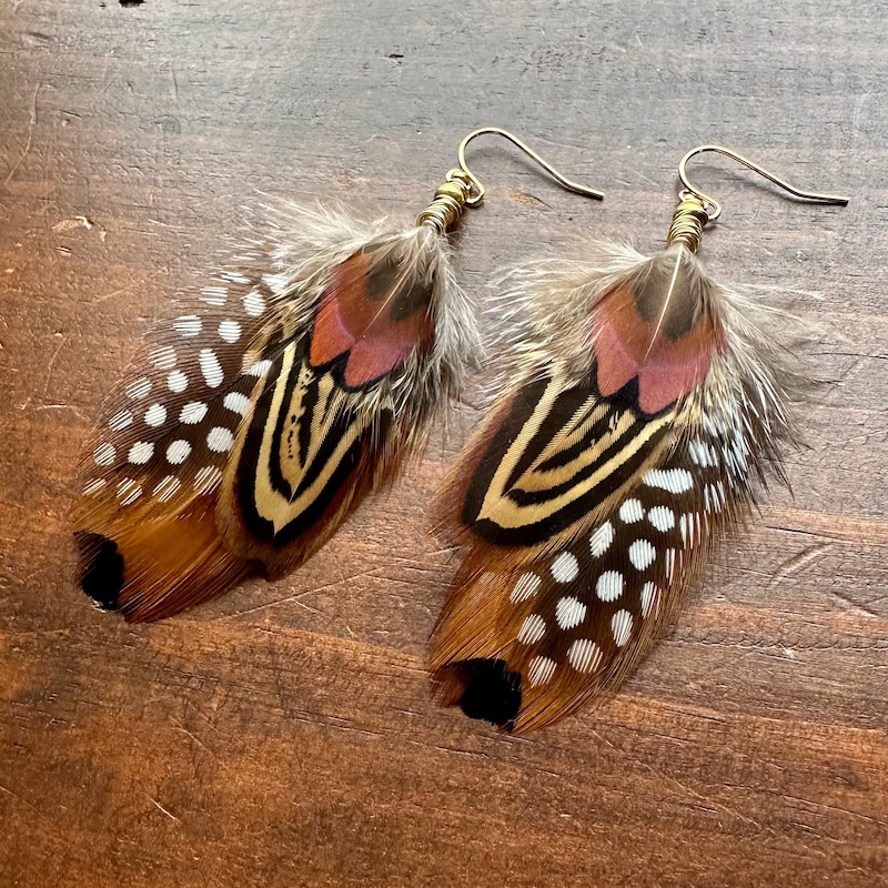 Pheasant Feather - Etsy