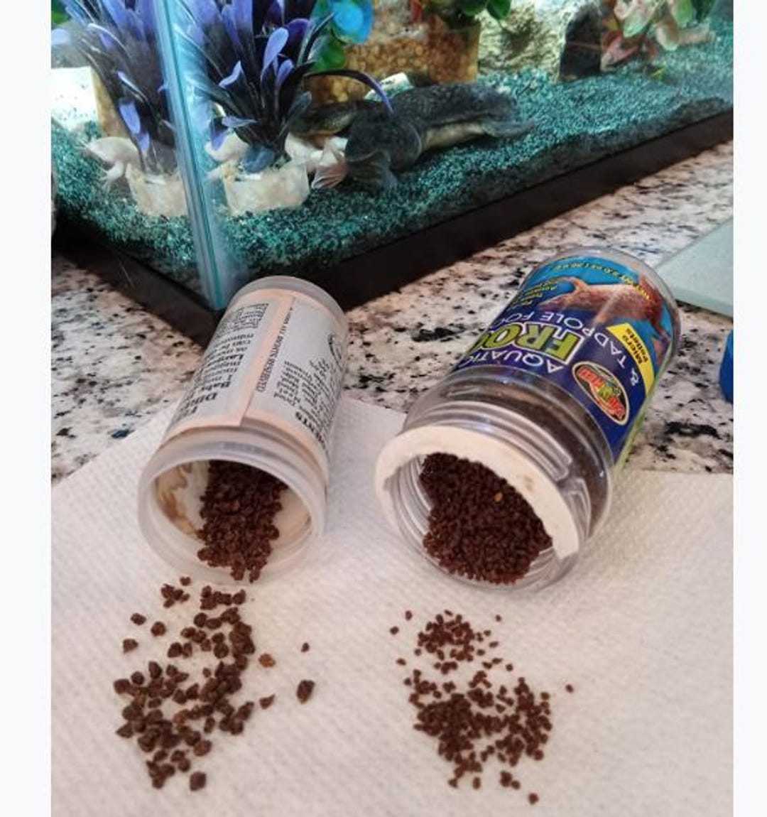 Aquatic Frog & Tadpole Food – Nutritious Diet for Frogs and Tadpoles in ...