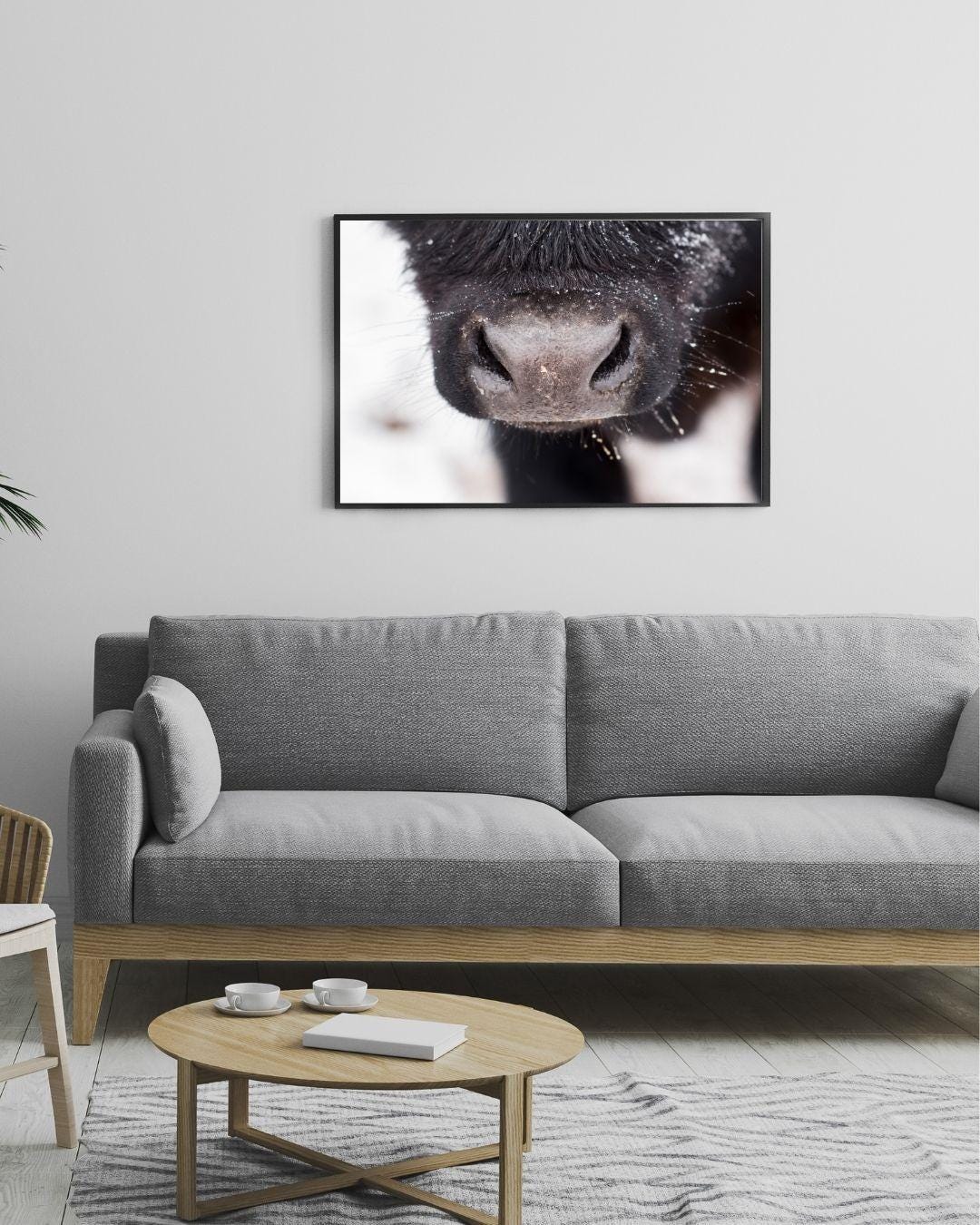 Fine Art Snowy Cow Nose - Etsy