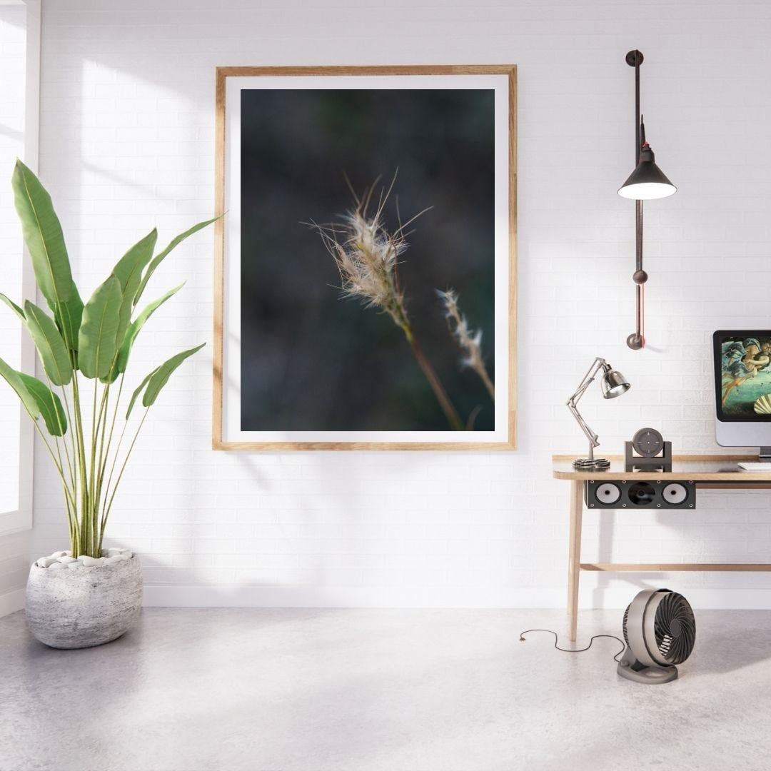 Fine Art Hay Sprout - Etsy