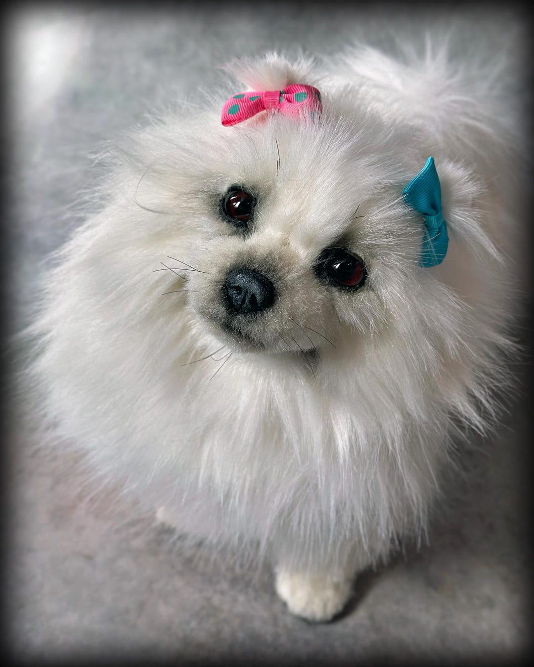 Spitz de Poméranie, réplique réaliste de chien, chiot en peluche ...