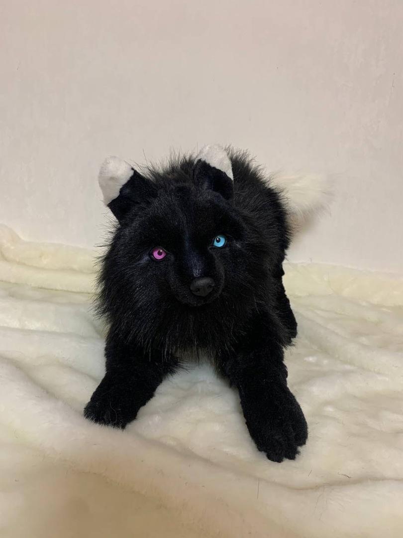 Custom Realistic Wolf Plush.art Doll Animal. Pose Wolf. Wolf Art Doll ...