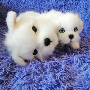 Custom Realistic Dog Plush. Art Doll Animal. Pose Dog. Dog Art Doll ...