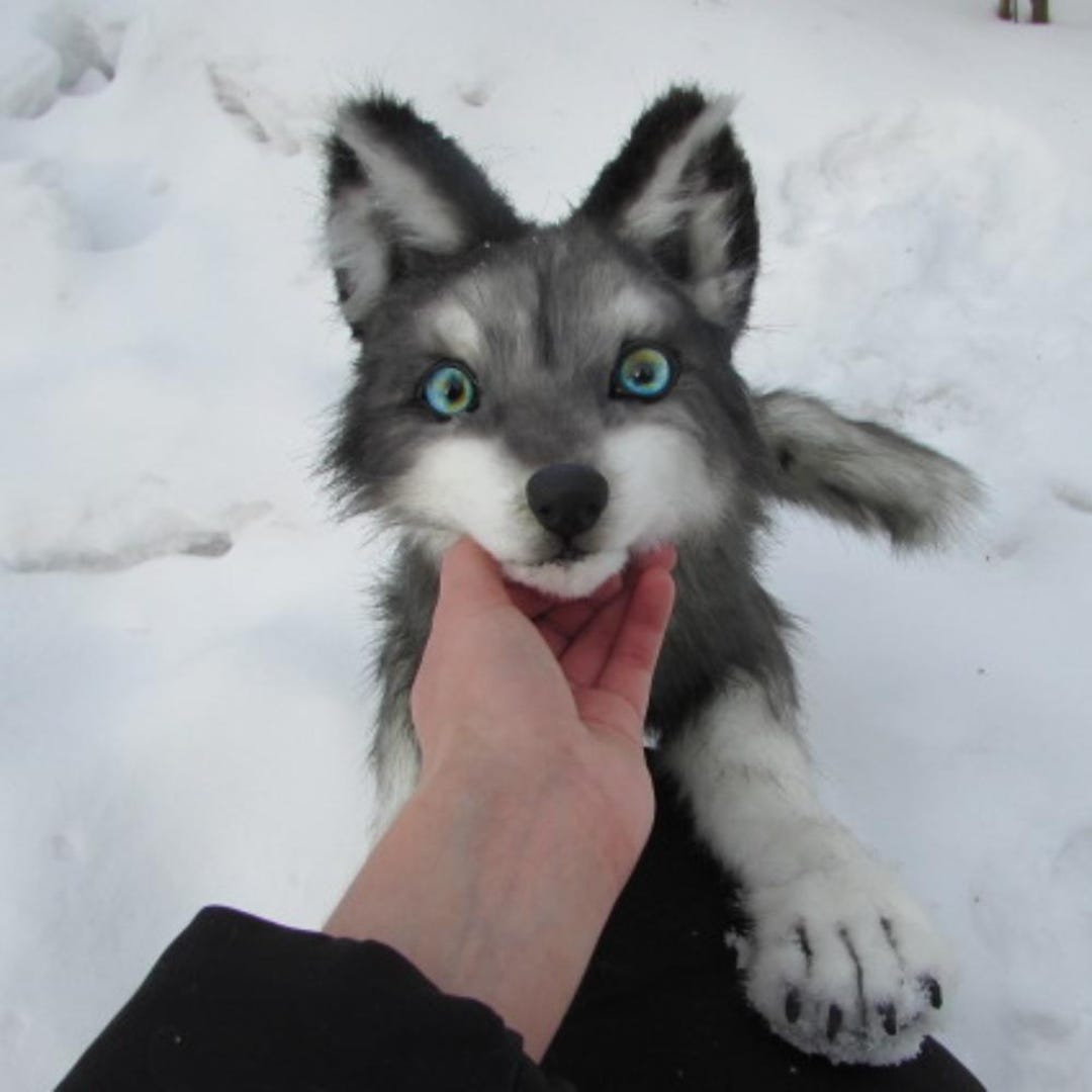Custom Realistic Wolf Plush.art Doll Animal. Pose Wolf. Wolf Art Doll ...