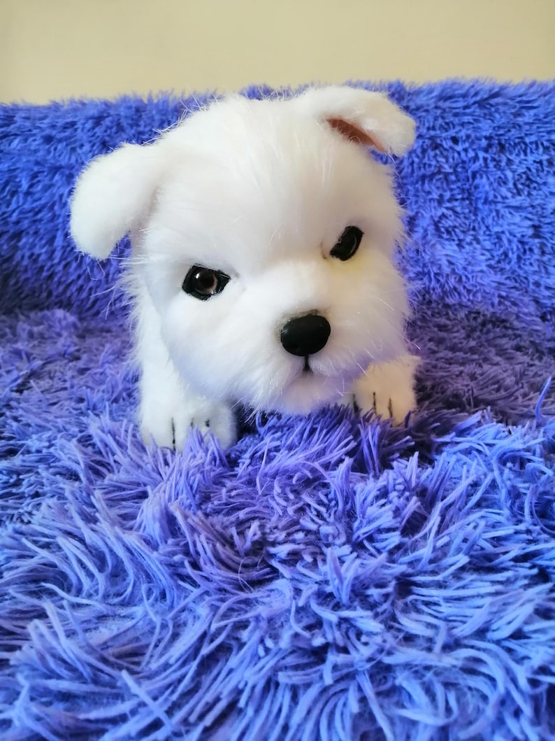 Custom Realistic Dog Plush. Art Doll Animal. Pose Dog. Dog Art Doll ...