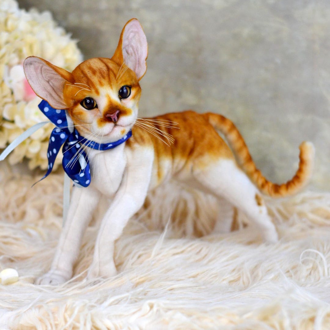 READY to SHIPPING Realistic Stuffed Cat Toy - Portrait of a Domestic ...