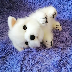 Custom Realistic Dog Plush. Art Doll Animal. Pose Dog. Dog Art Doll ...