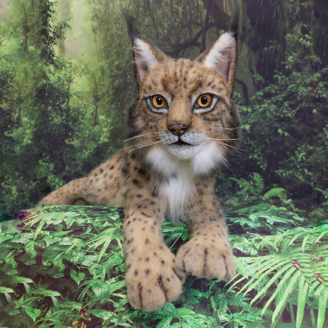 Lynx Realistic Plush Toy . Wild Cat . OOAK . Art Doll Animal . Stuffed ...