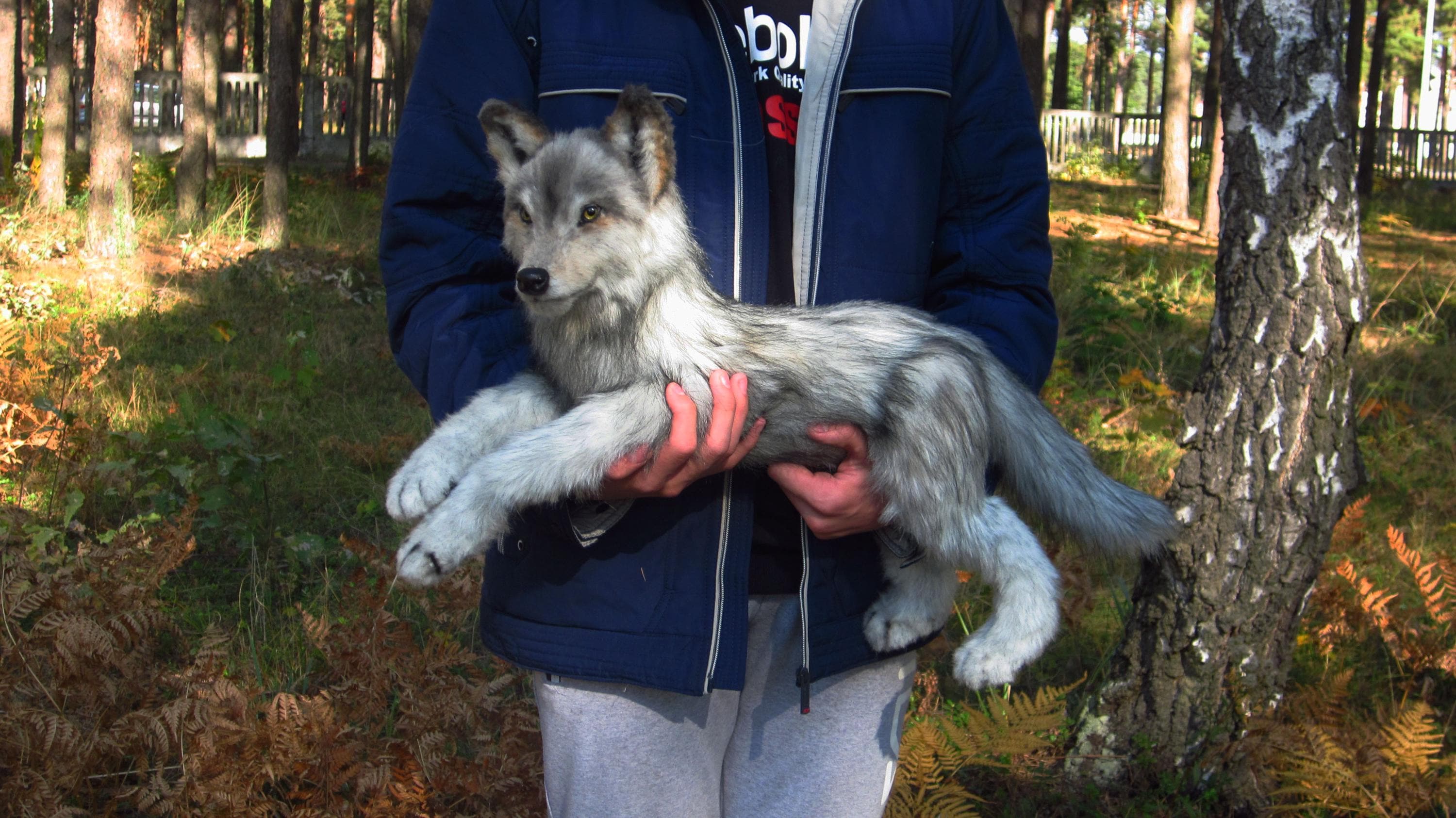 Realistic Plush Wolf Portrait Plush Collectible Pet Toys Replica for ...