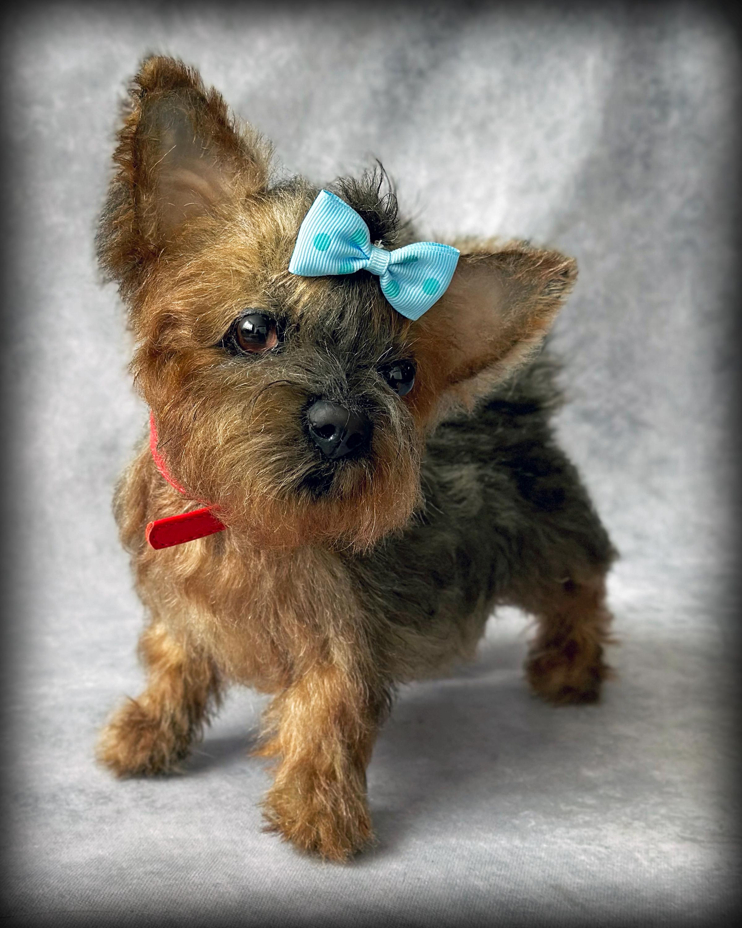 Realistic Yorkie Replica, Yorkie Puppy, Pet Portrait, Mohair Puppy ...