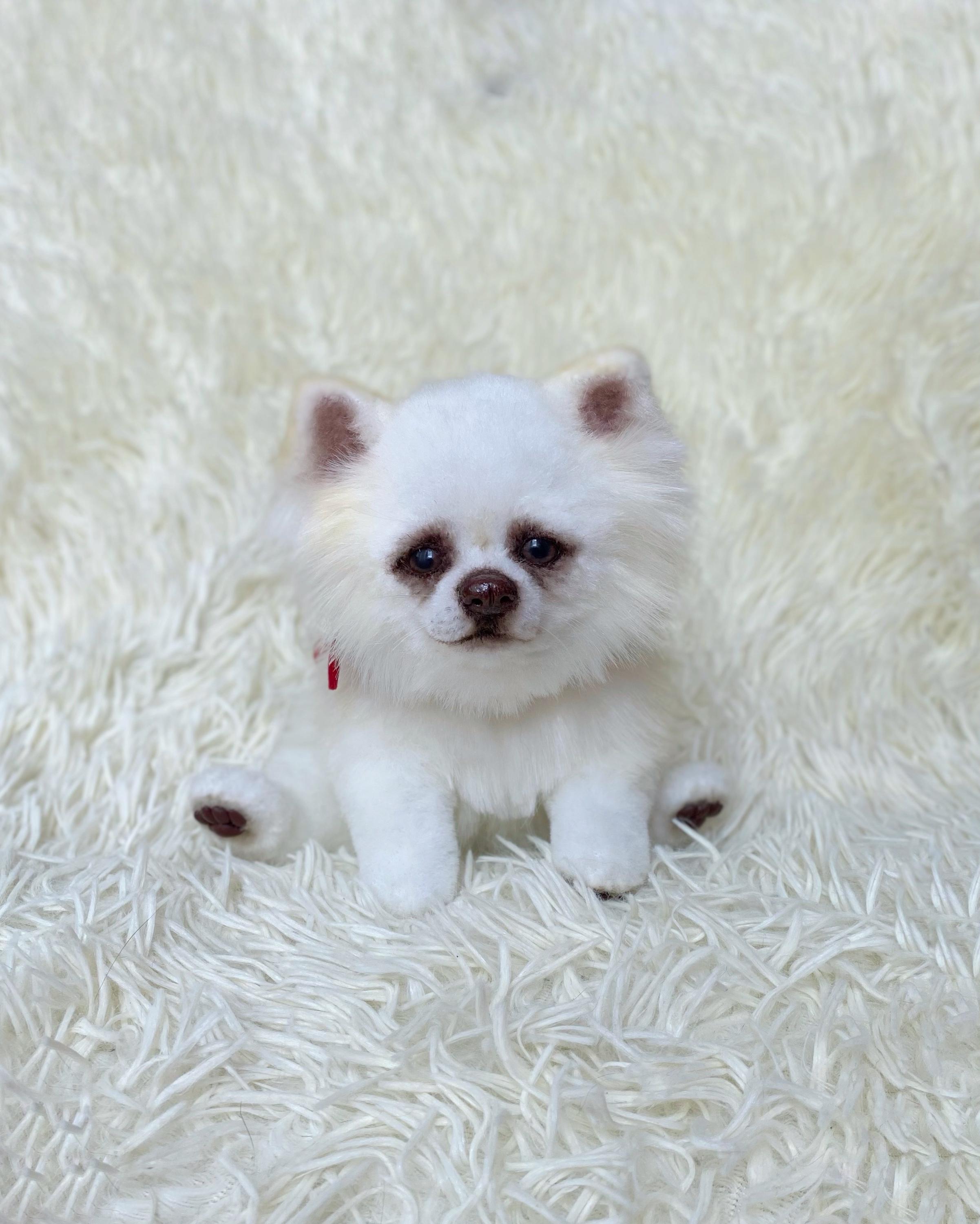 Chihuahua Dog Puppy Realistic Soft Toy - Etsy