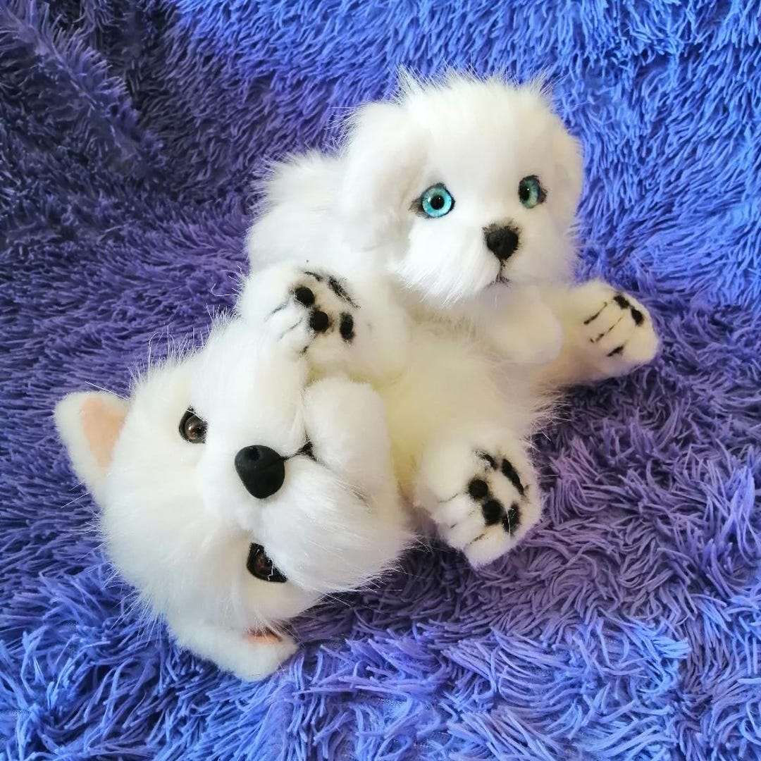 Custom Realistic Dog Plush. Art Doll Animal. Pose Dog. Dog Art Doll ...