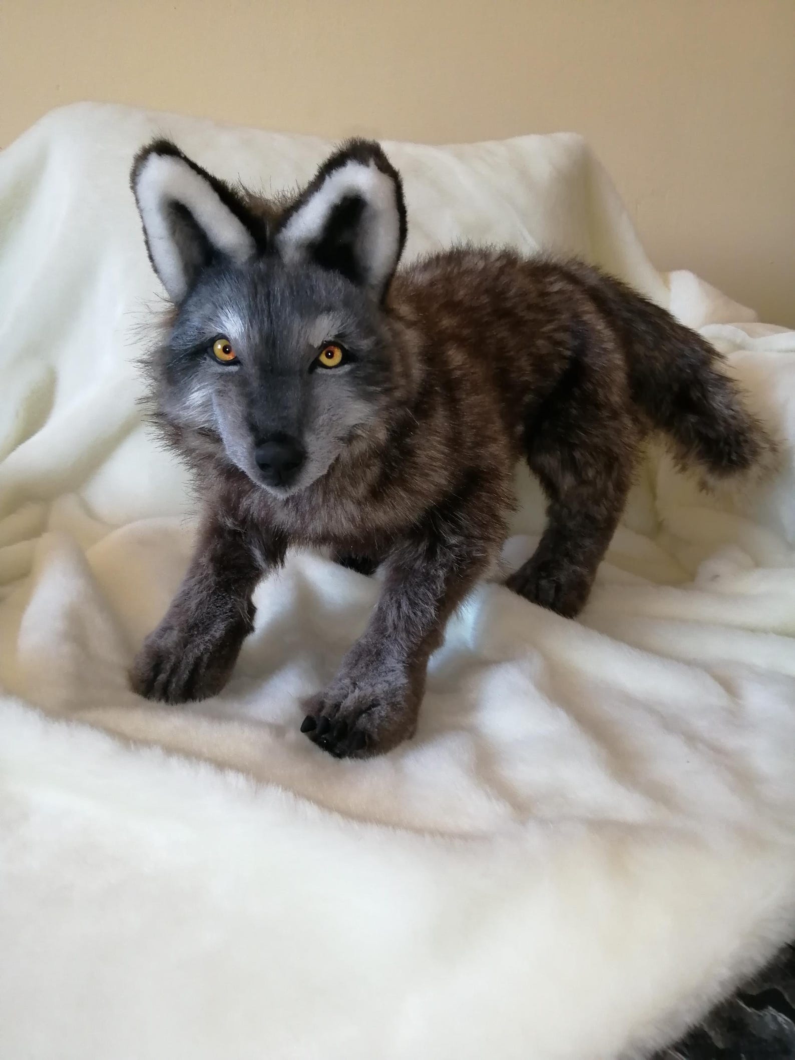 Custom Realistic Wolf Plush. Art Doll Animal. Pose Wolf. Wolf Art Doll ...