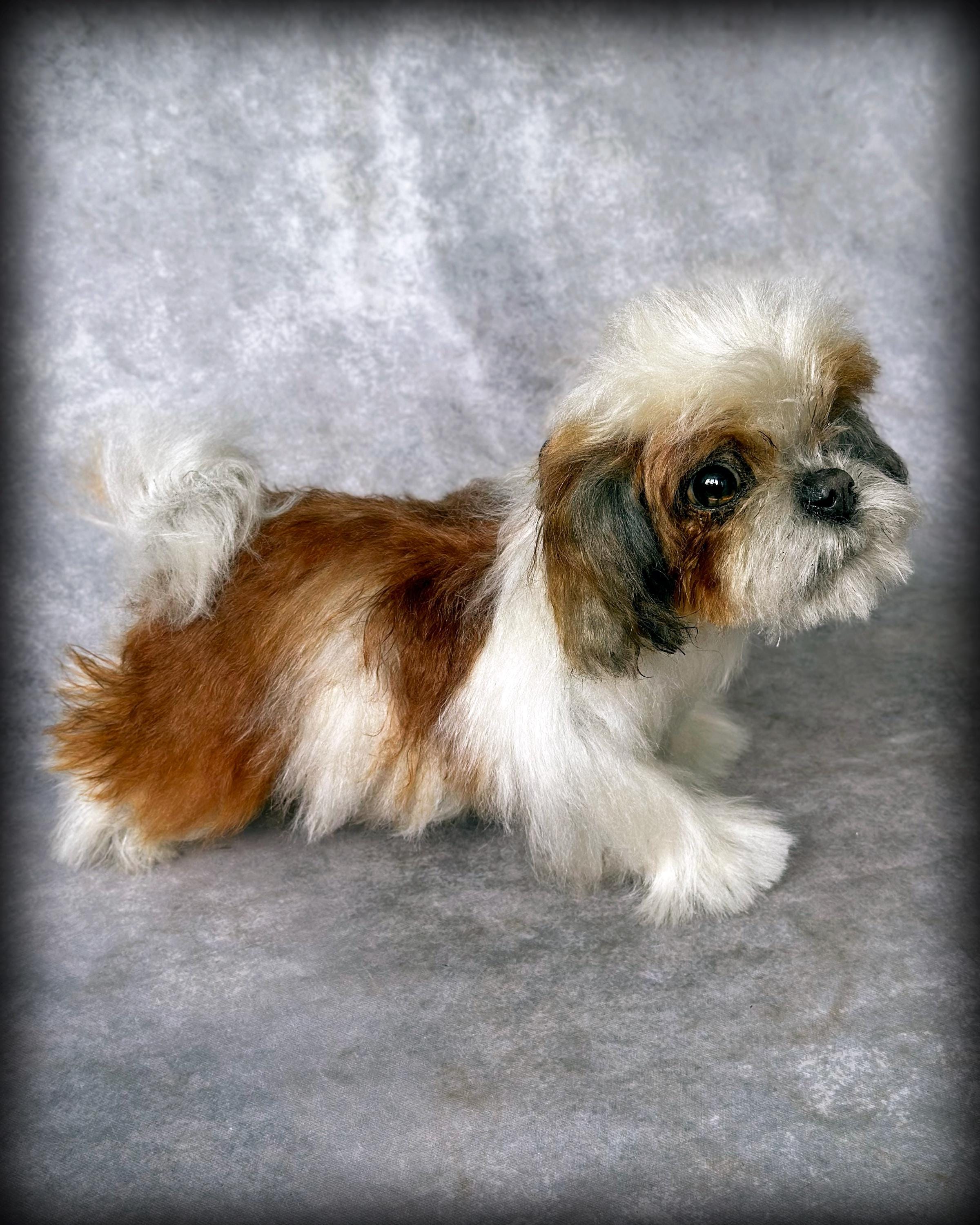 Shih Tzu, Realistic Dog Replica, Plush Puppy, Pet Portrait, Soft ...