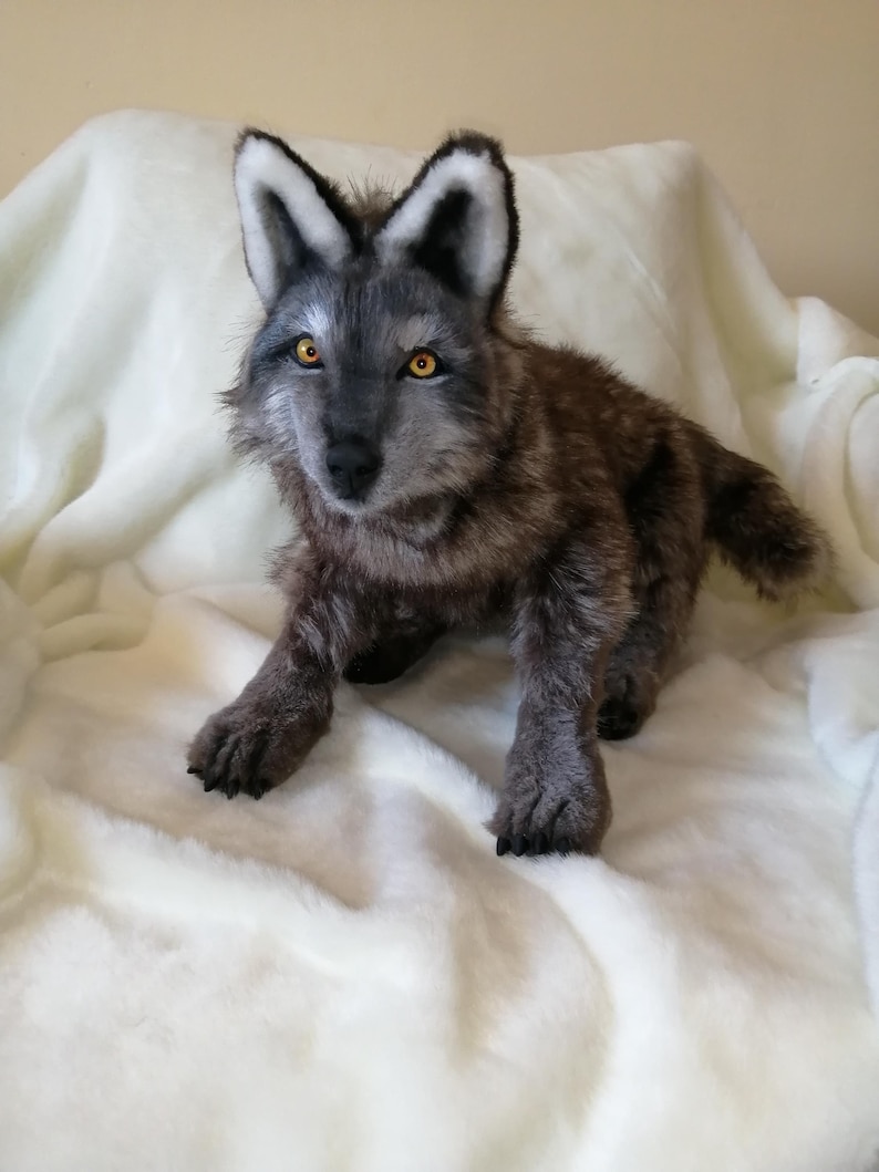 Custom Realistic Wolf Plush. Art Doll Animal. Pose Wolf. Wolf Art Doll ...