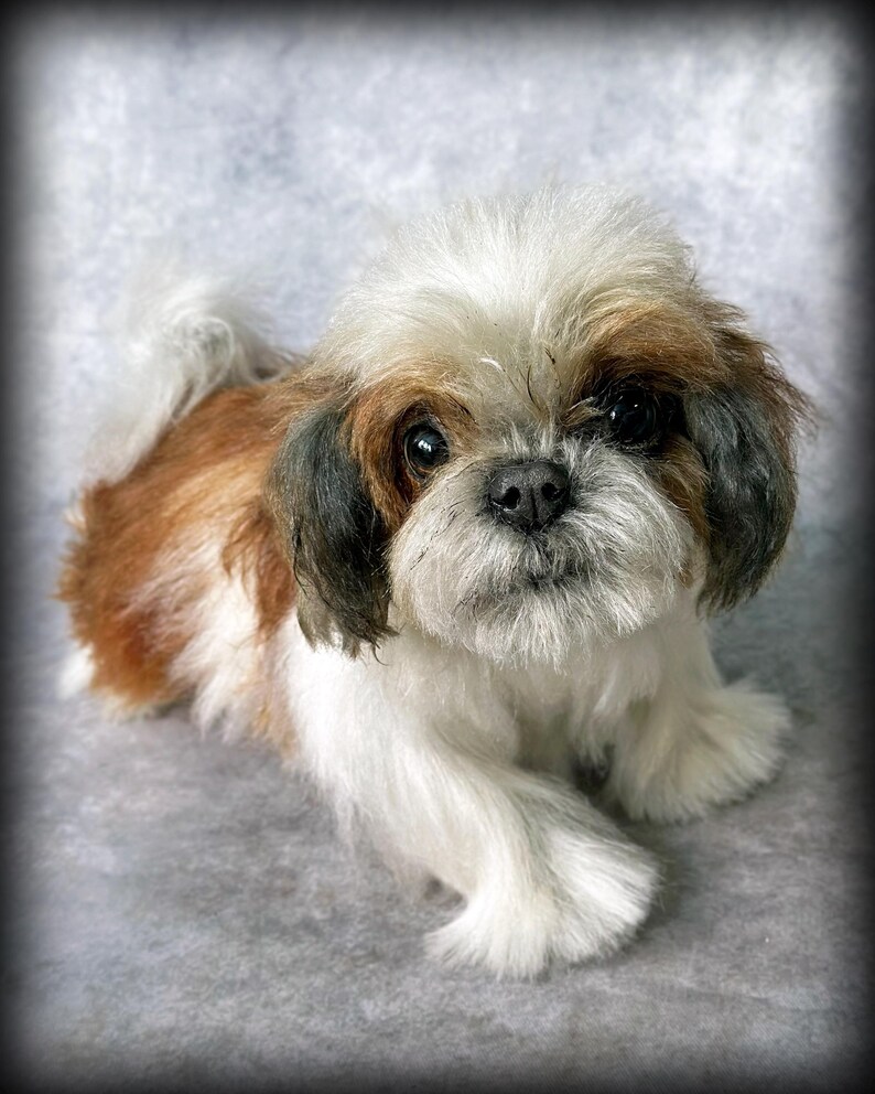 Shih Tzu, Realistic Dog Replica, Plush Puppy, Pet Portrait, Soft ...