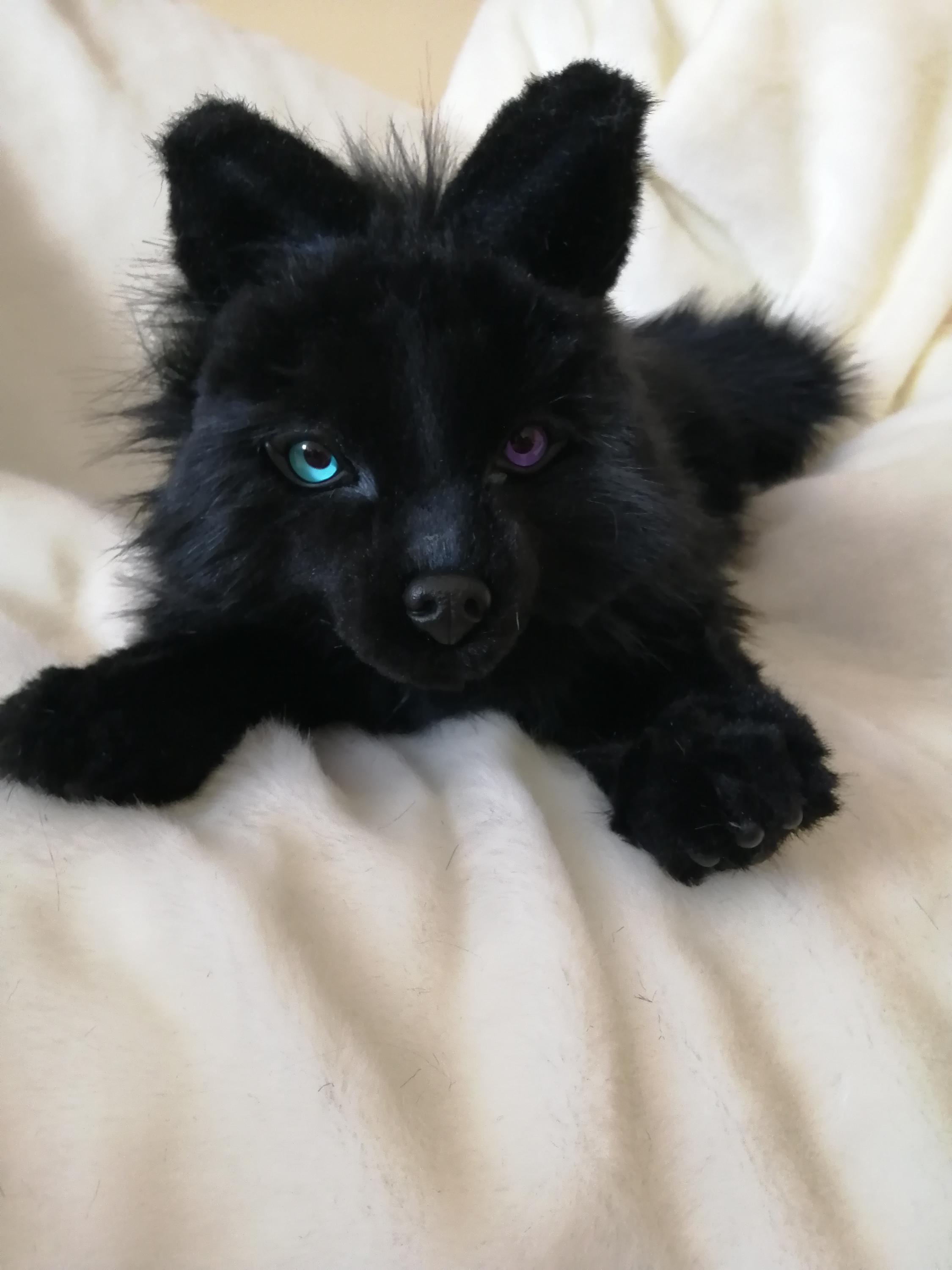 Custom Realistic Wolf Plush. Art Doll Animal. Pose Wolf. Wolf Art Doll ...