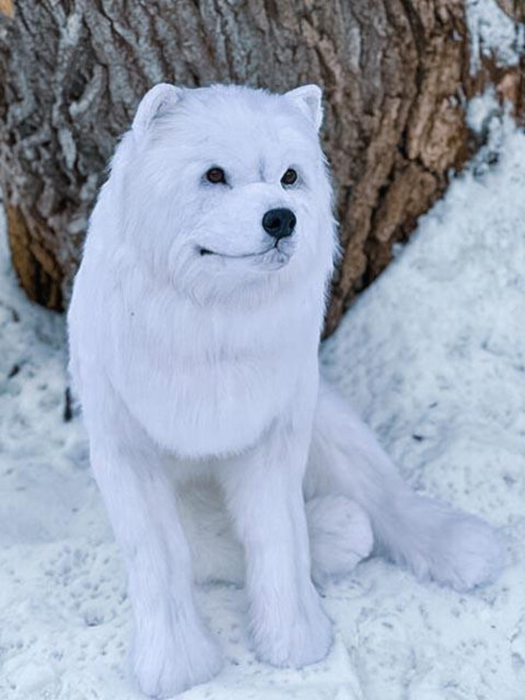 Snow - the Samoyed. Realistic Toy Poseable Pet Portrait Faux Fur ...