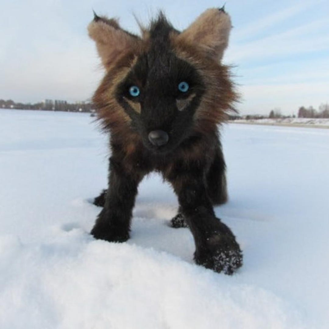 Custom Toy From Photo or Sketch. Custom Realistic Animal. Art Doll ...