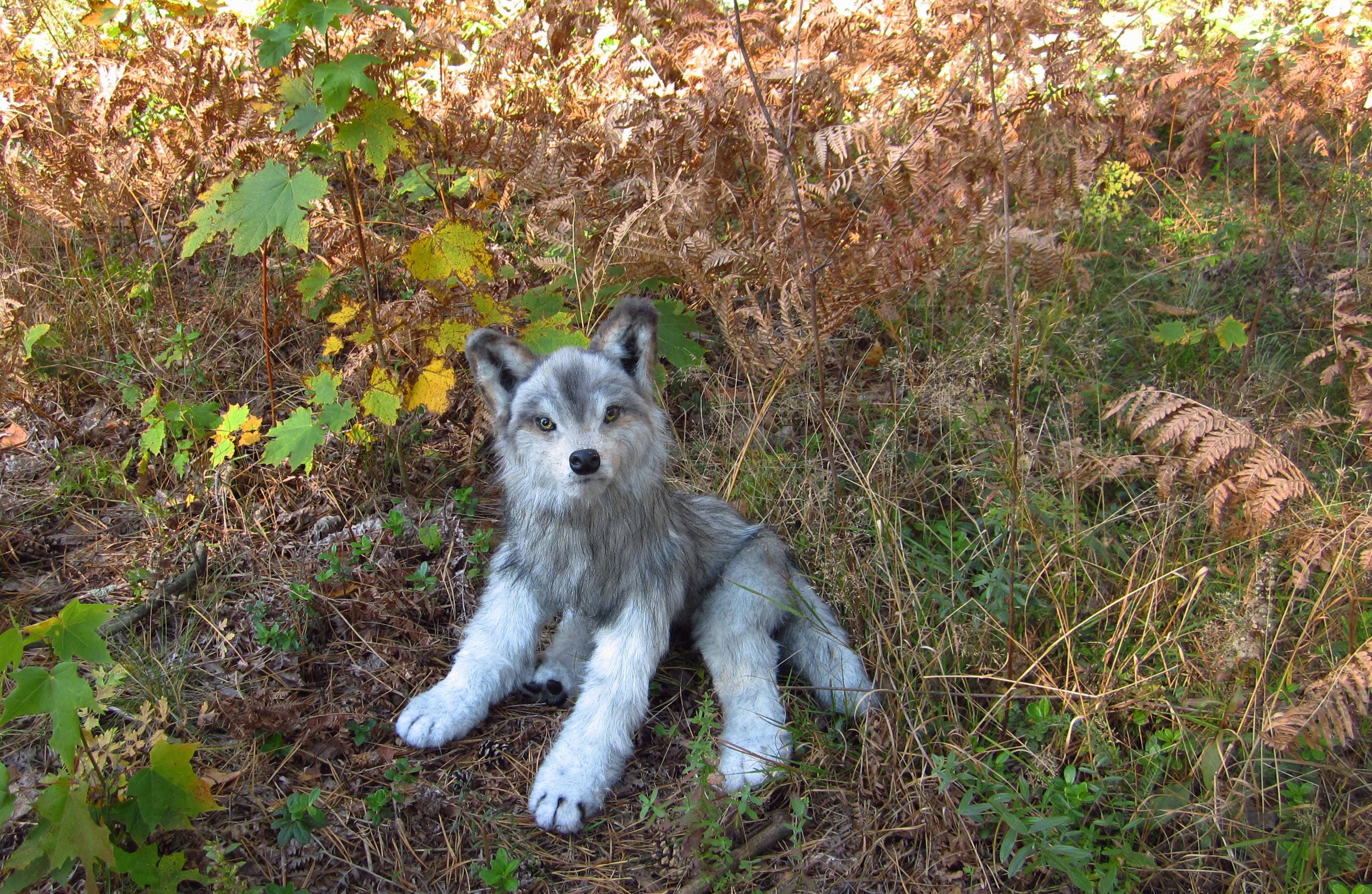 Realistic Plush Wolf Portrait Plush Collectible Pet Toys Replica for ...