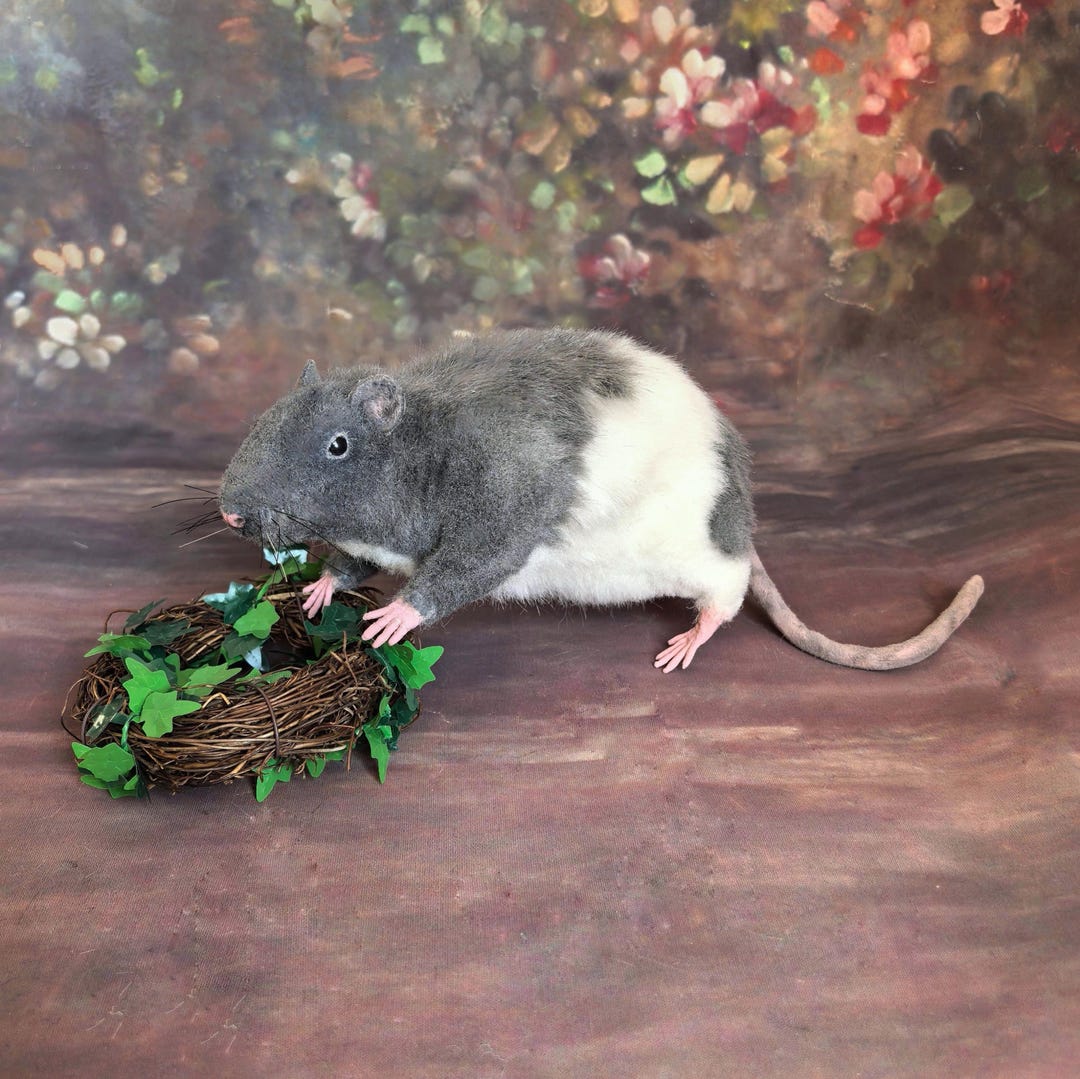 Rat Realistic Toy , Pet Replica , Stuffed Animal , Mouse , Dumbo the ...