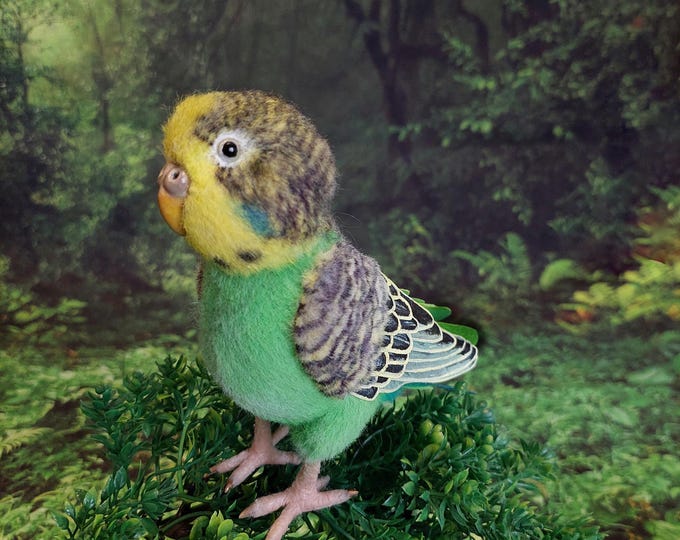 Realistic Plush - Budgie , Pet Memory , Plush Parrot , Stuffed Bird - Etsy