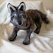 Custom Realistic Wolf Plush. Art Doll Animal. Pose Wolf. Wolf Art Doll ...