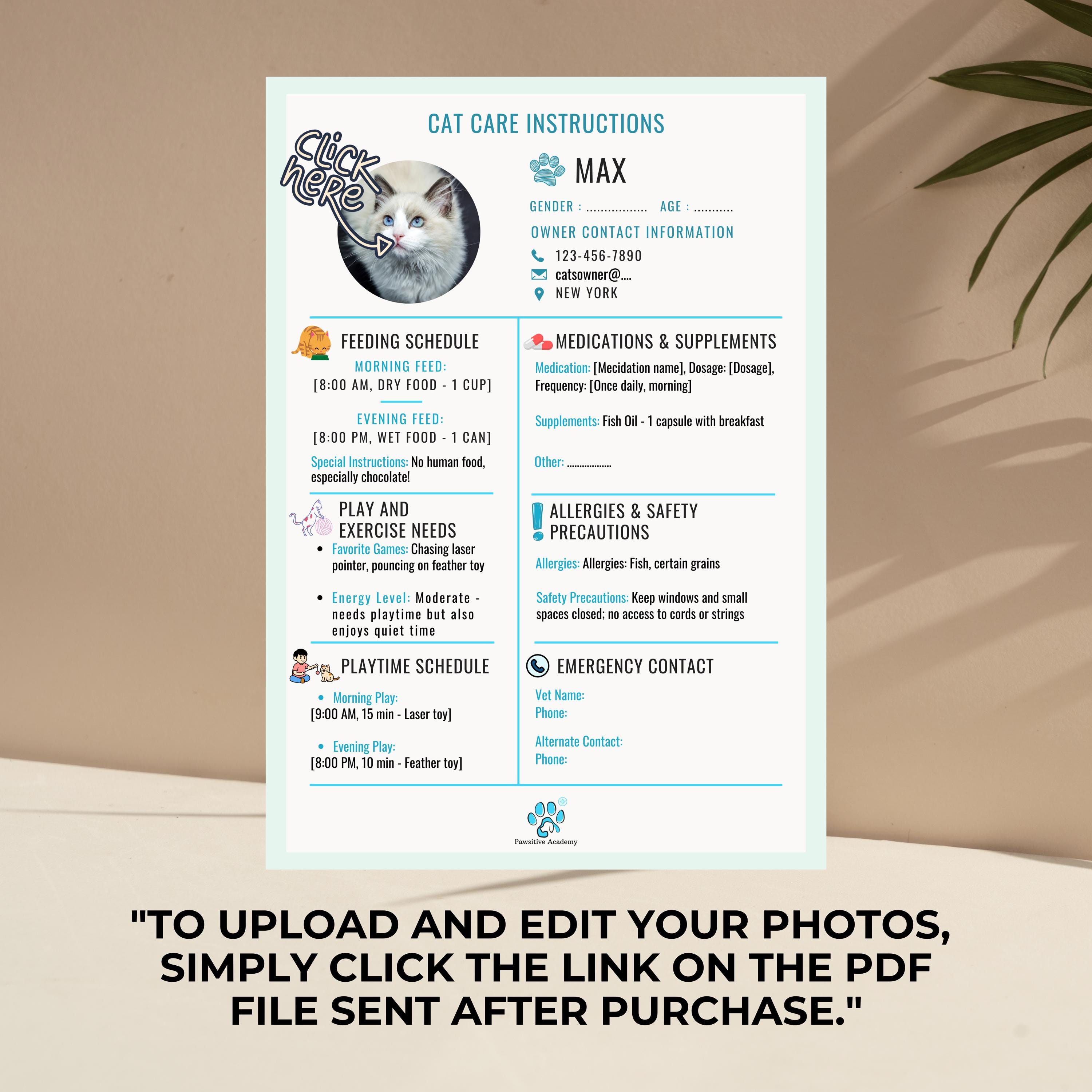 Editable Cat Care Instruction Sheet - Digital Download for Pet Sitters ...
