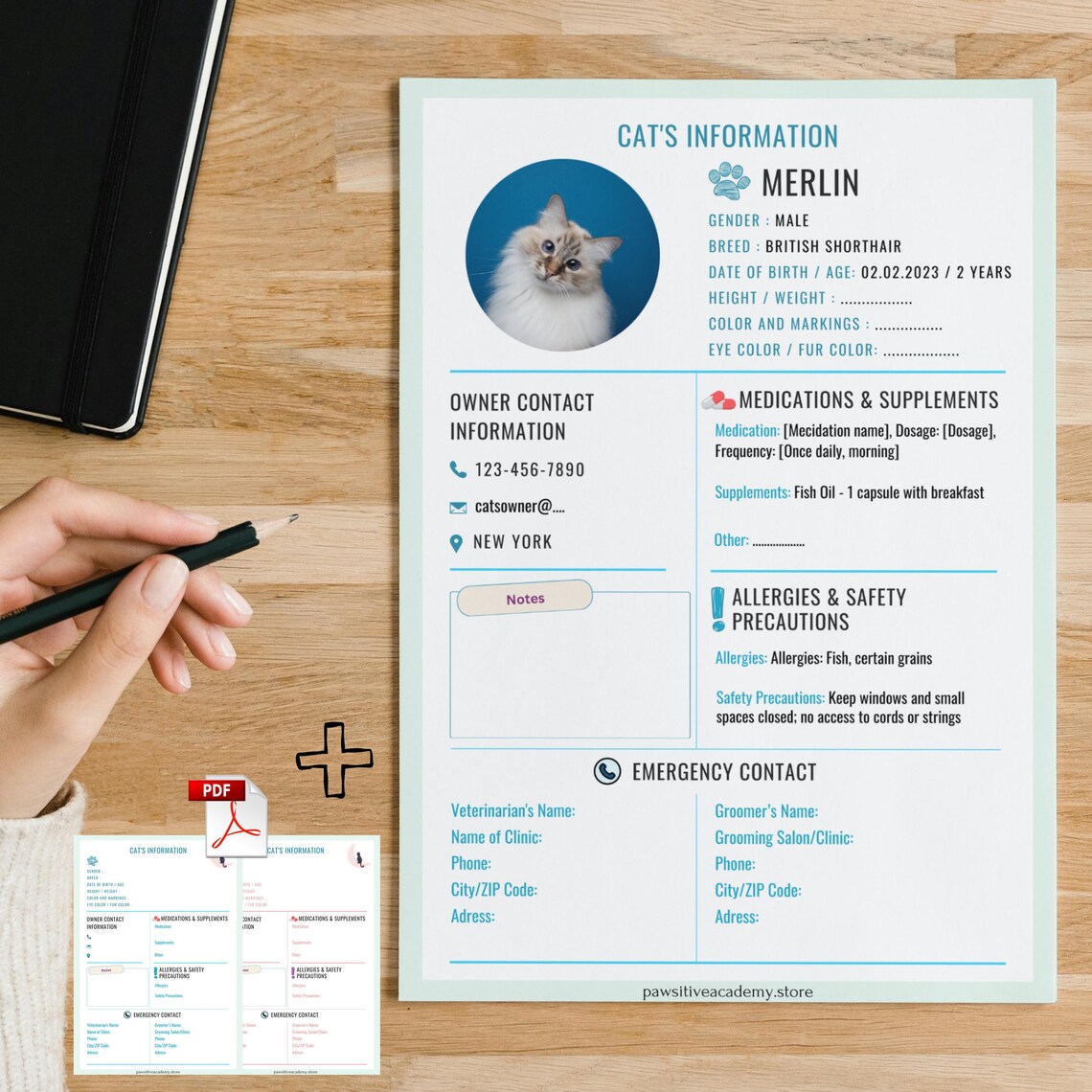 Editable Cat Information Sheet: Pet Emergency Record (printable PDF) - Etsy