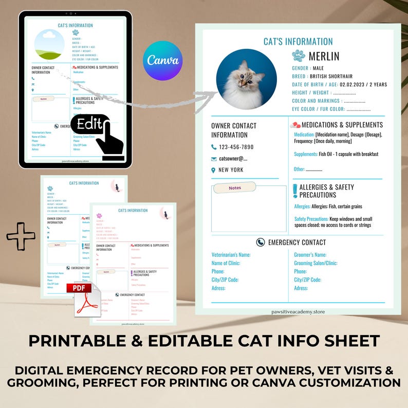 Editable Cat Information Sheet: Pet Emergency Record (printable PDF) - Etsy