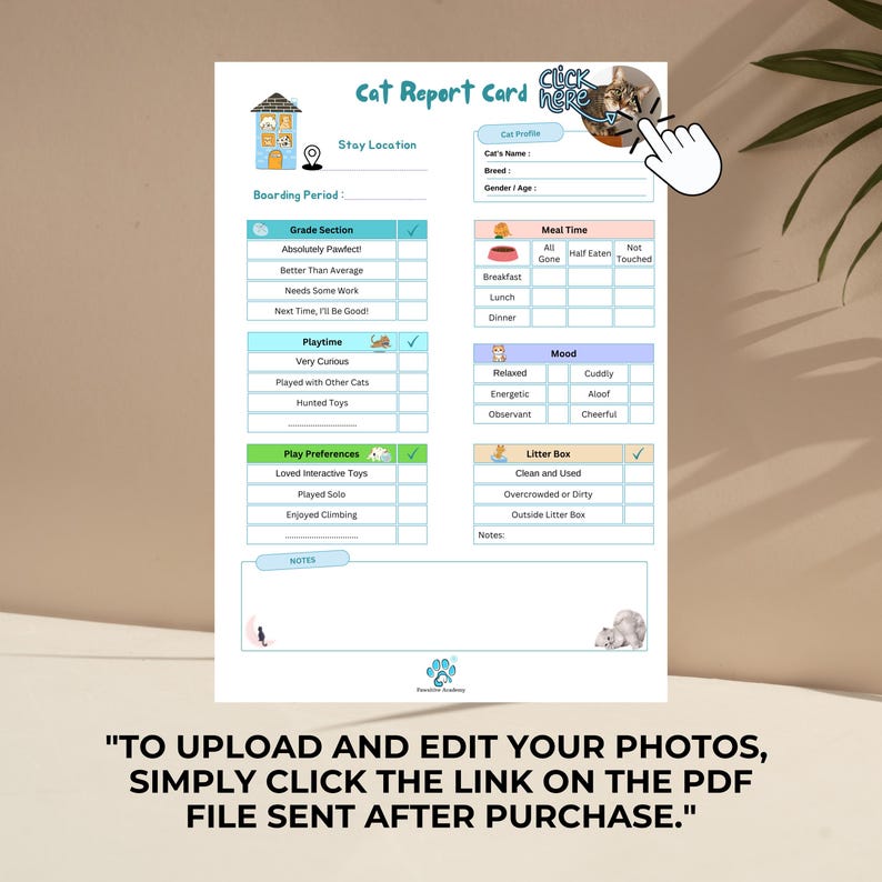 Editable Cat Report Card Template: Pet Sitter Canva Access (digital ...