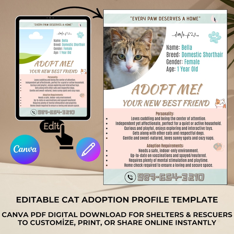 Cat Adoption Card - Etsy