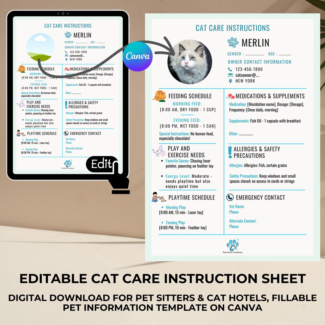 Editable Cat Care Instruction Sheet: Canva Template (digital Download ...
