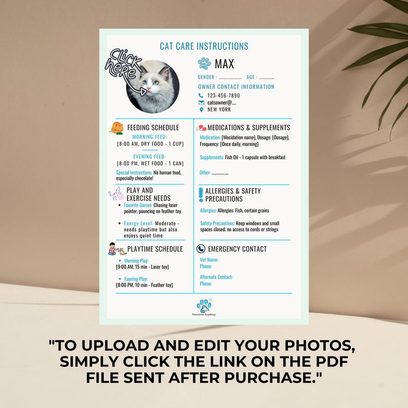 Editable Cat Care Instruction Sheet: Canva Template (digital Download ...