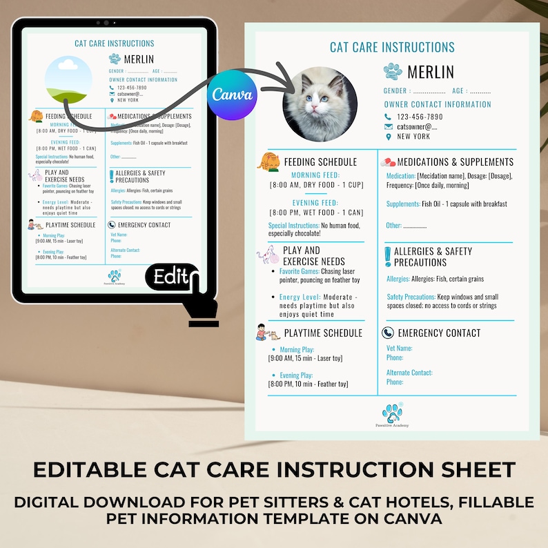 Editable Cat Care Instruction Sheet: Pet Sitter Template (digital ...