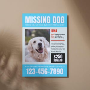 Customizable Lost Pet Poster | Editable Missing Dog Flyer for Printing ...
