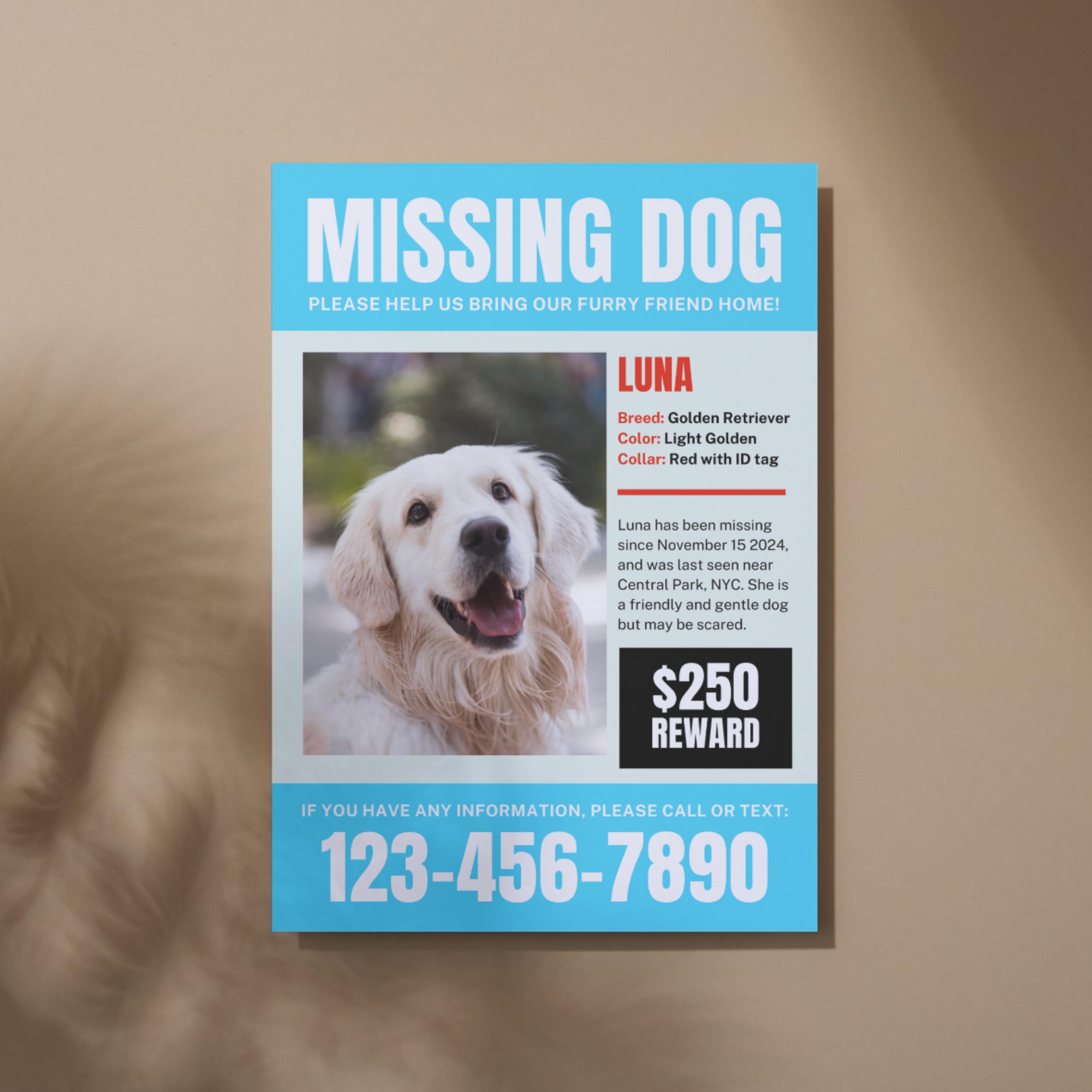 Customizable Lost Pet Poster | Editable Missing Dog Flyer for Printing ...