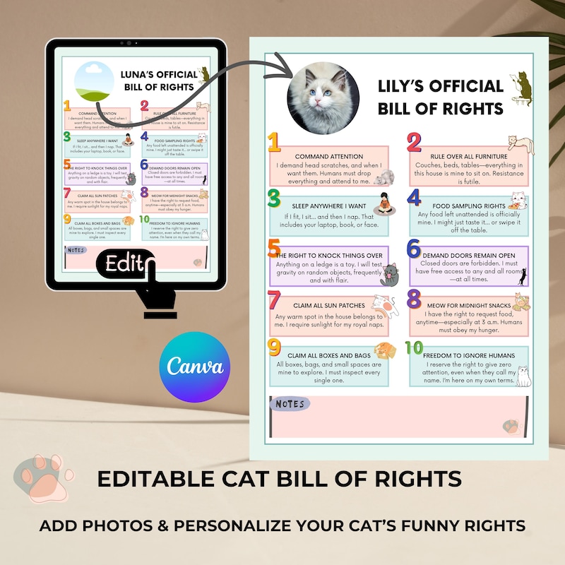 Bill of Rights Poster - Etsy