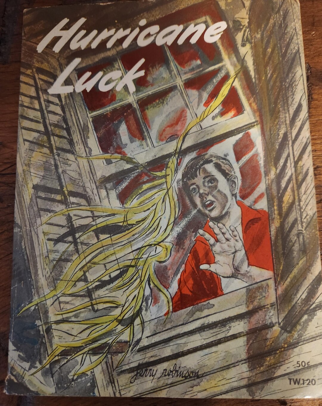 Hurricane Luck by Carl Carmer Scholastic Book - Etsy