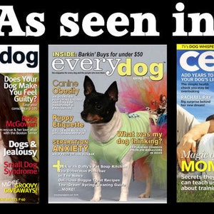 Bowie Ziggy Stardust Pet ID Tag: Personalized Custom Dog Cat Tag - Etsy