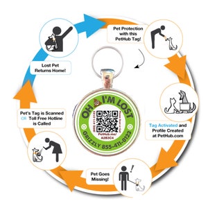 Scannable QR Code ID Tag for Cats & Dogs, Powered by Pethub - Etsy